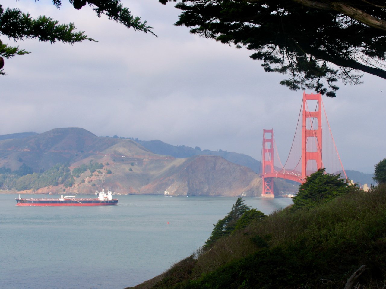 San Francisco Information | SF Info | Real San Frsncisco Tours