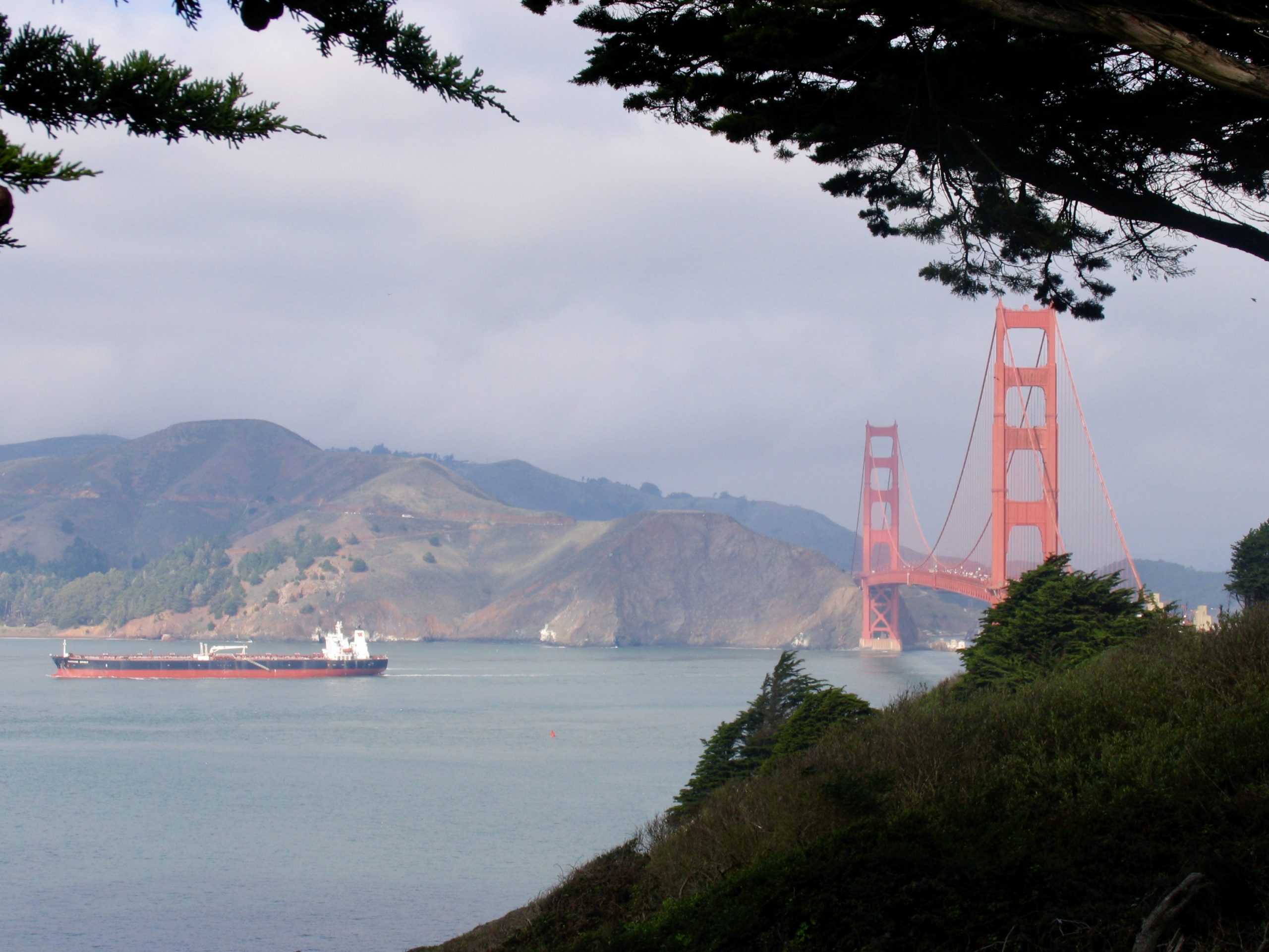 San Francisco Waterfront Tour | Real San Francisco Tours