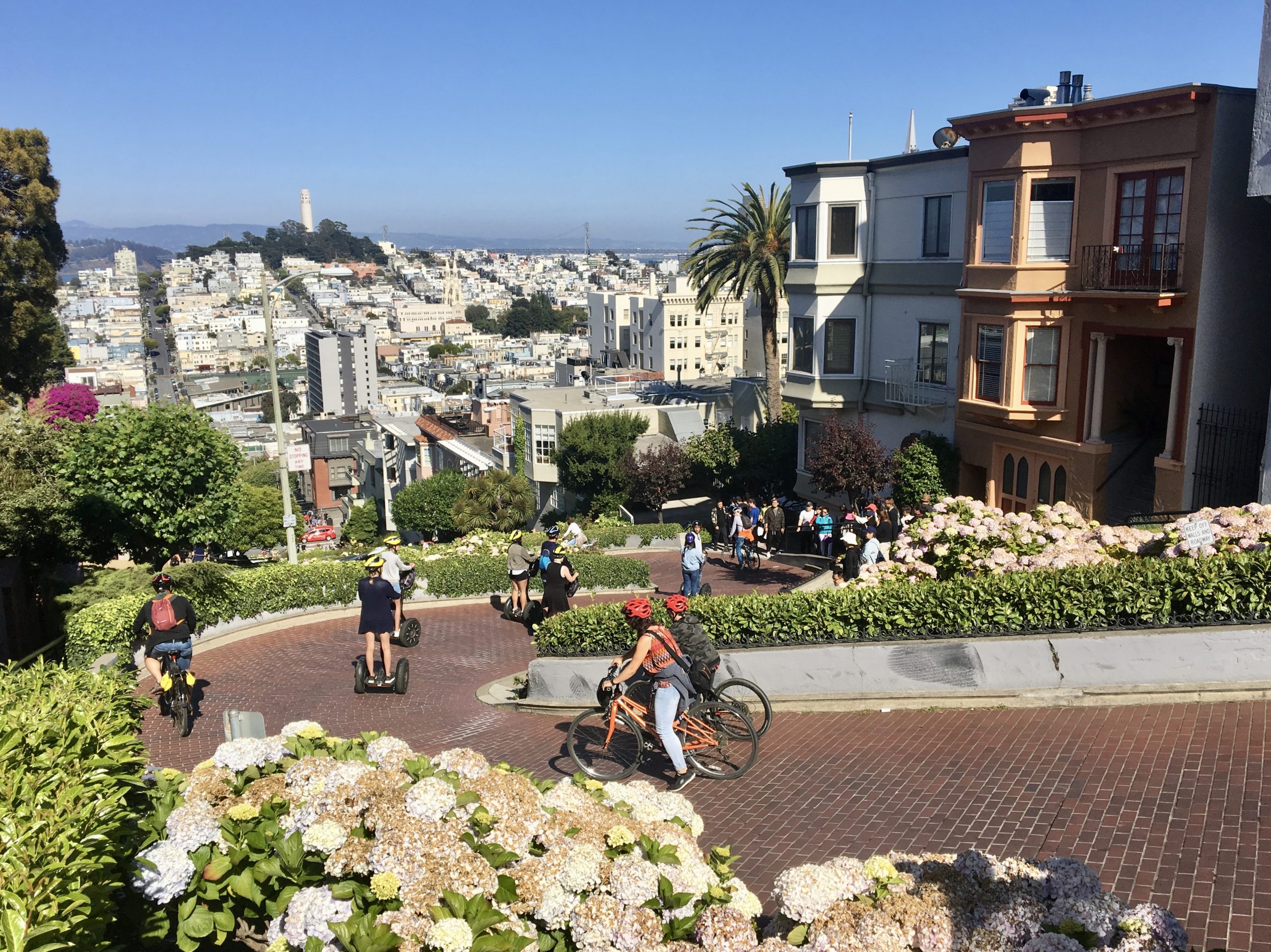 Icons of SF Tour | Metro & Walking | Real San Francisco Tours